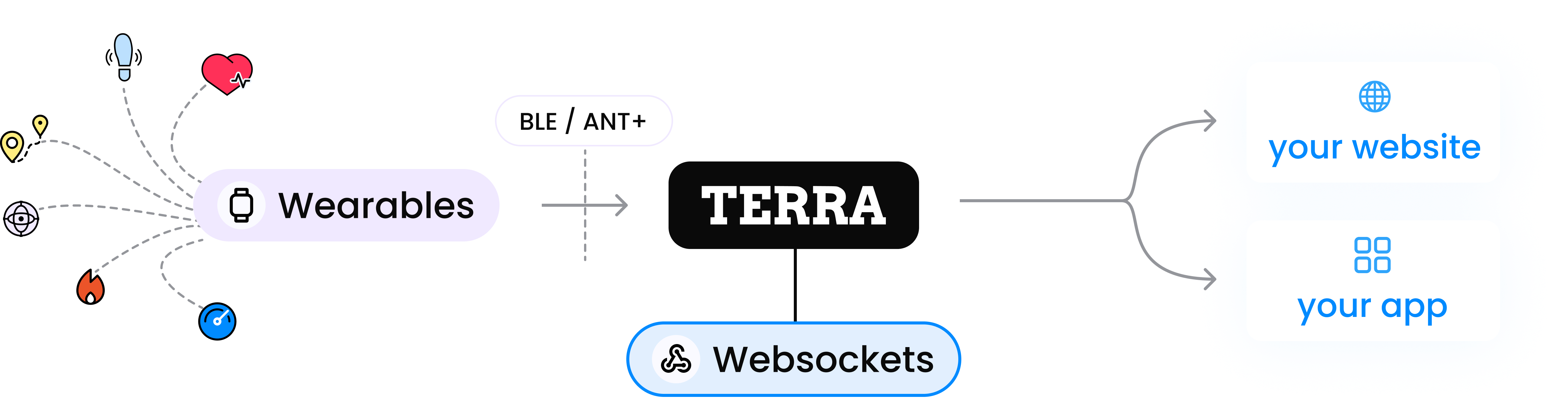 Terra Websockets Stream Data In Real Time From Any Wearable